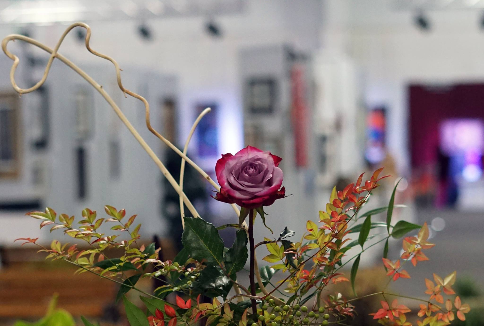 Flower Shows | South Carolina State Fair