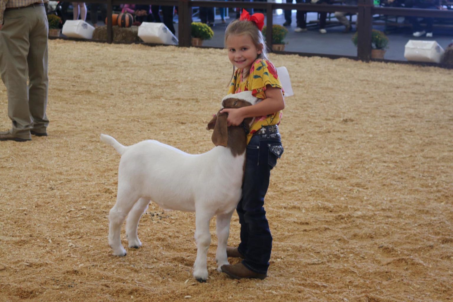 Junior Market Goat | South Carolina State Fair