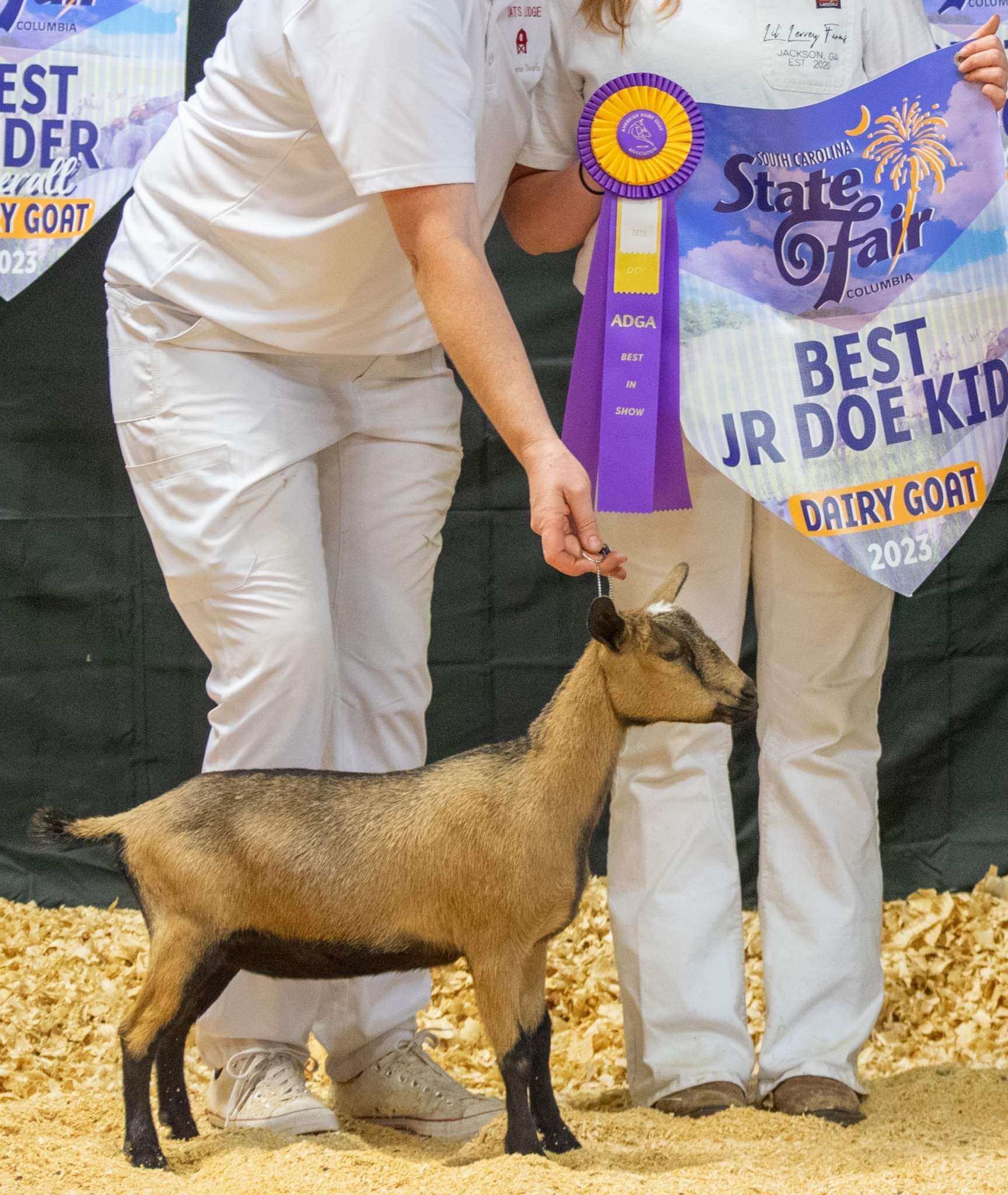 Dairy Goat | South Carolina State Fair