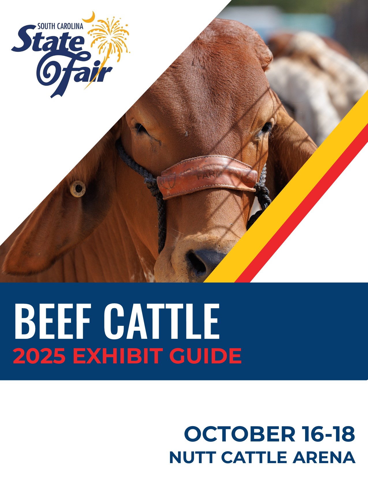 Beef Cattle | South Carolina State Fair